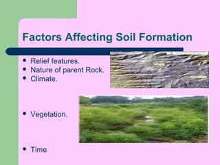 Land and soil resources | PPT