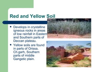 Land and soil resources | PPT