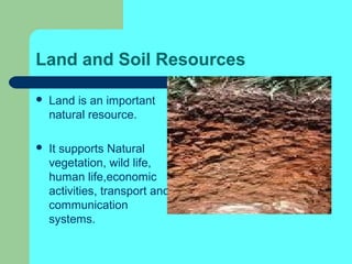 Renewable Resources Soil