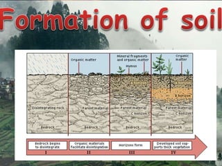 Land and Soil Resources.pptx
