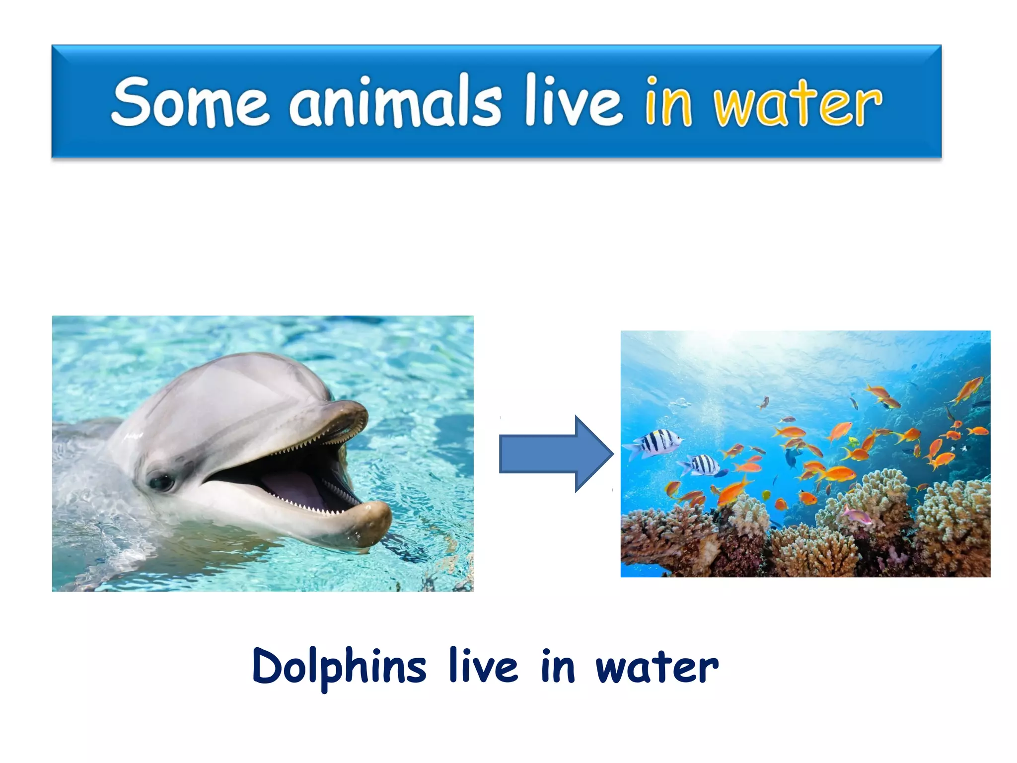 Land and water | PPT