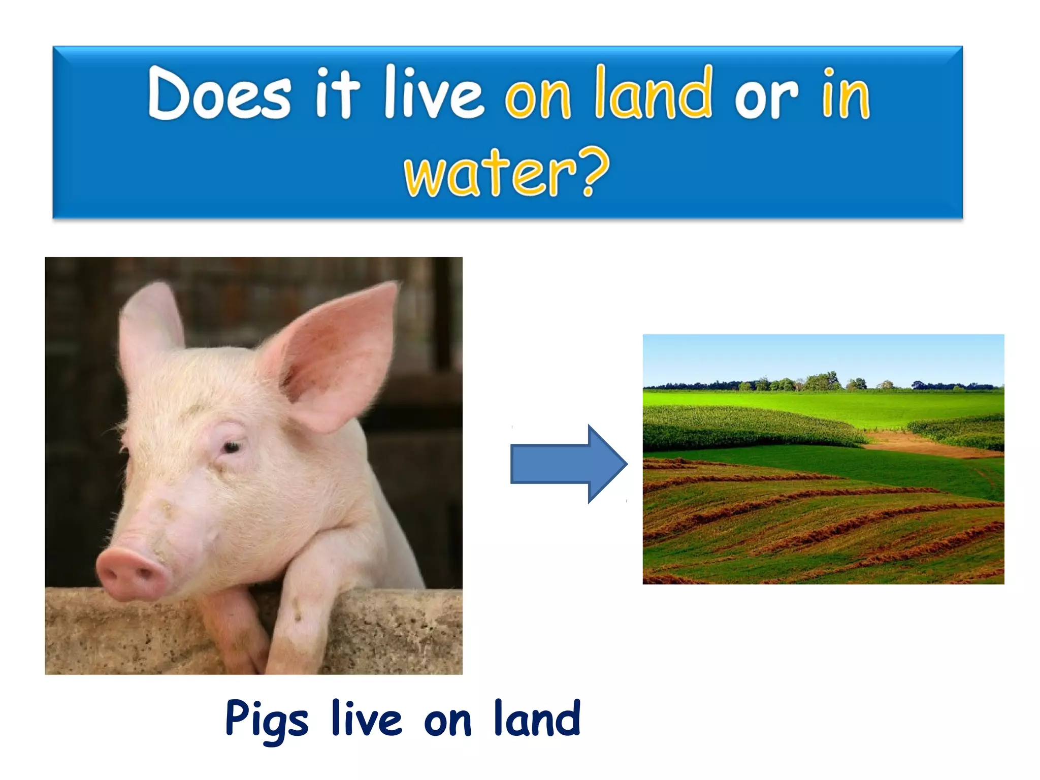 Land and water | PPT