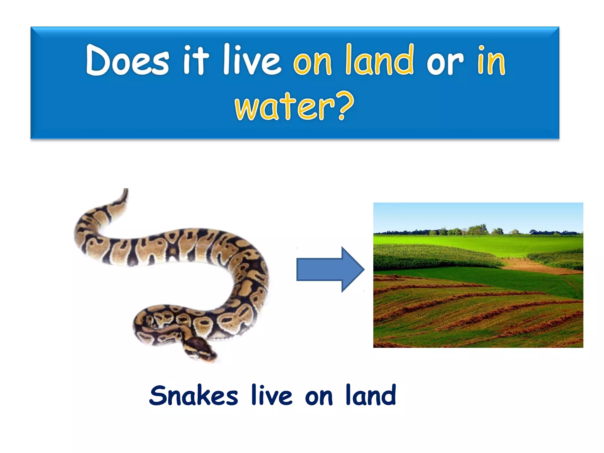Land and water | PPT