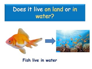 Land and water | PPT