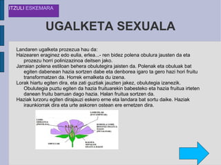 Landarak | PPT