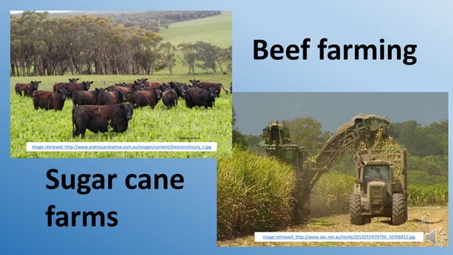 EDC171 Landbased runoff and the great barrier reef | PPT