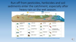EDC171 Landbased runoff and the great barrier reef | PPT