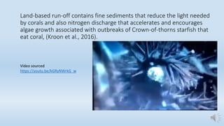 EDC171 Landbased runoff and the great barrier reef | PPT