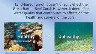 EDC171 Landbased runoff and the great barrier reef | PPTX