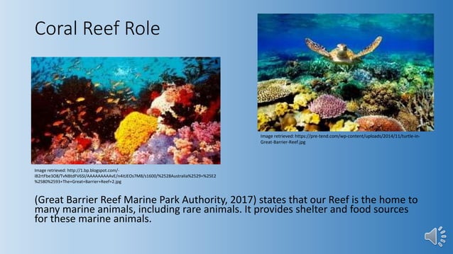 EDC171 Landbased runoff and the great barrier reef | PPT