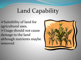 Land capability classification | PPTX