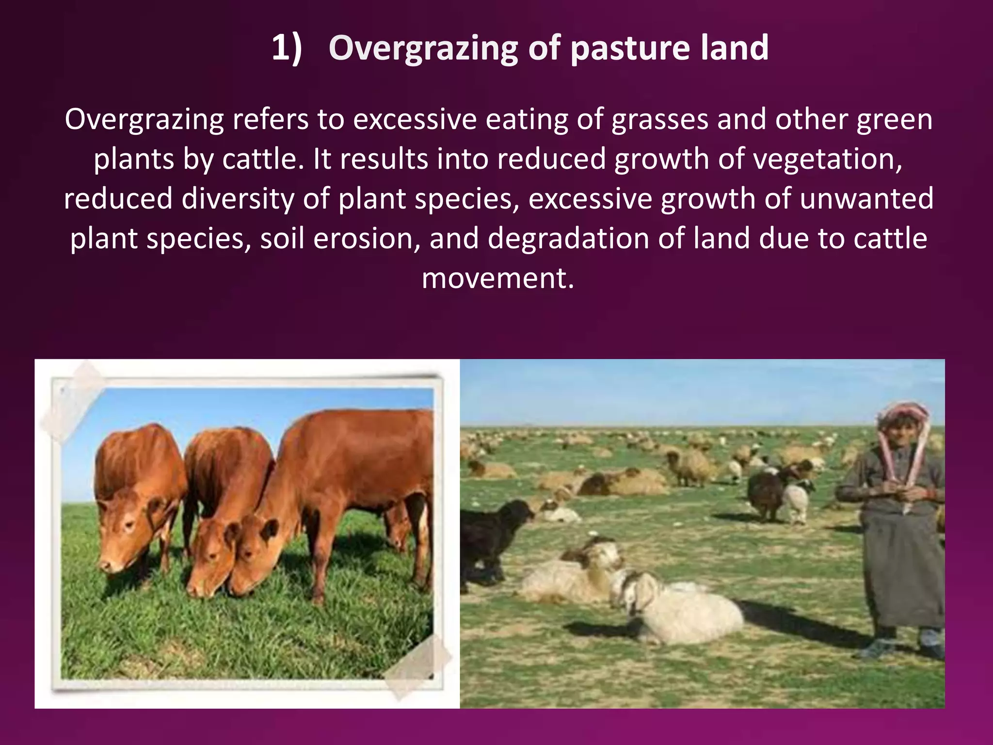 Land degradation | PPTX