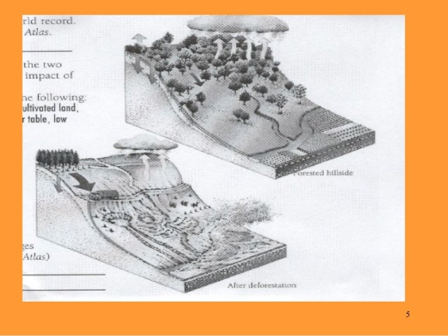 Land Degradation Definition