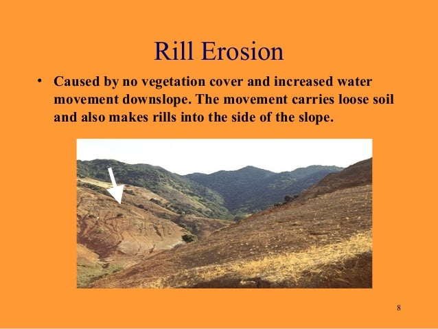 Land Degradation Definition