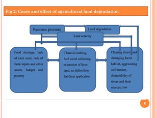 Land degradation final | PPT