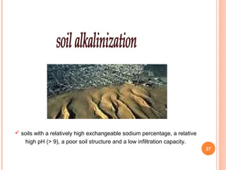 Alkalinization Of Soil