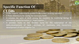 Land Development Banking fundamentals .pptx