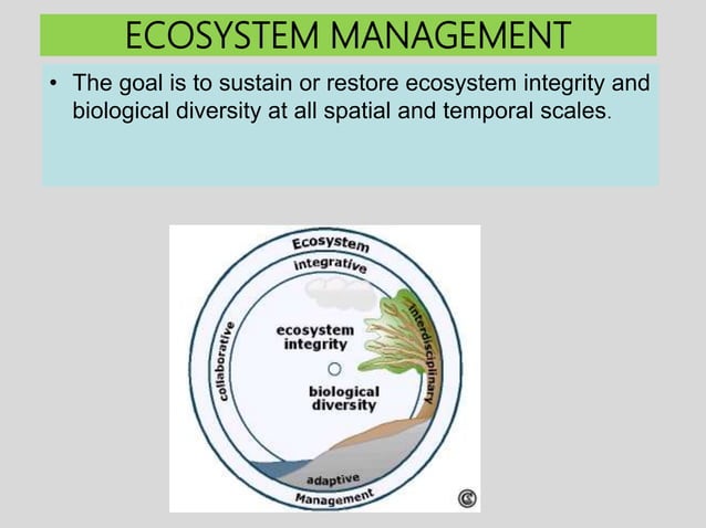 LAND DEVELOPMENT PLANNING | PPTX