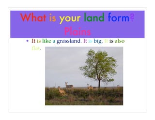 Land Form | PPT