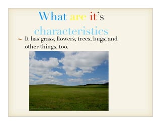 Land Form | PDF