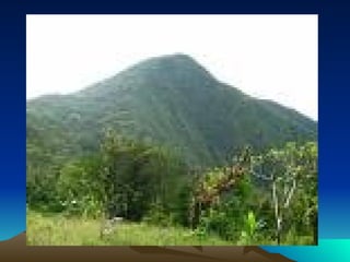 Landforms | PPS