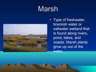 Landforms | PPT | Geography | Science