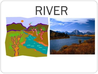 Landforms | PPT