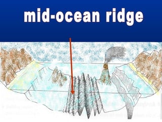 Mid Ocean Ridge Animation