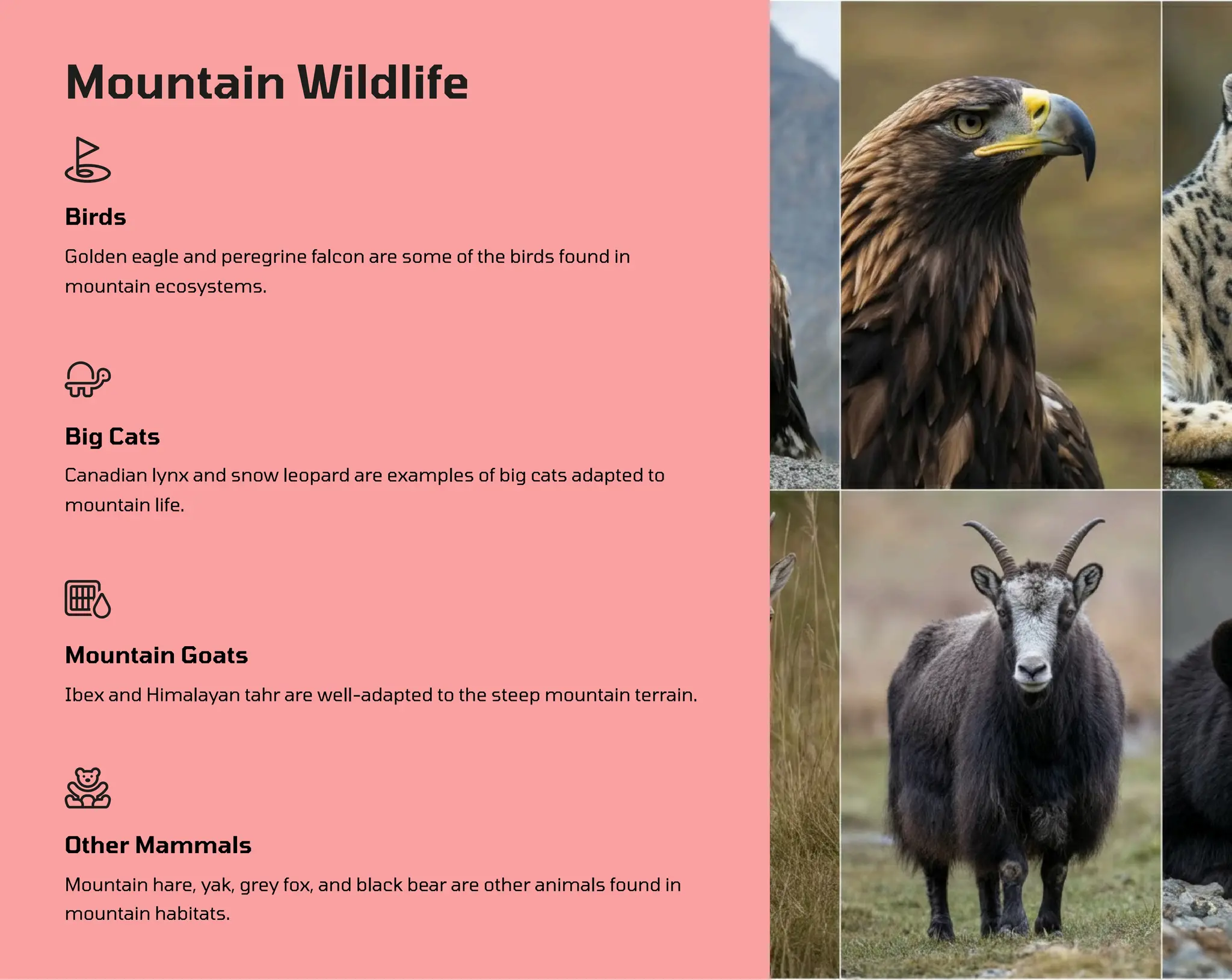 Landforms-And-Life (1).pdf detailed explanation ppt 6th class social | PDF