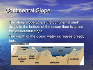 Landforms found-on-the-ocean-floor | PPT