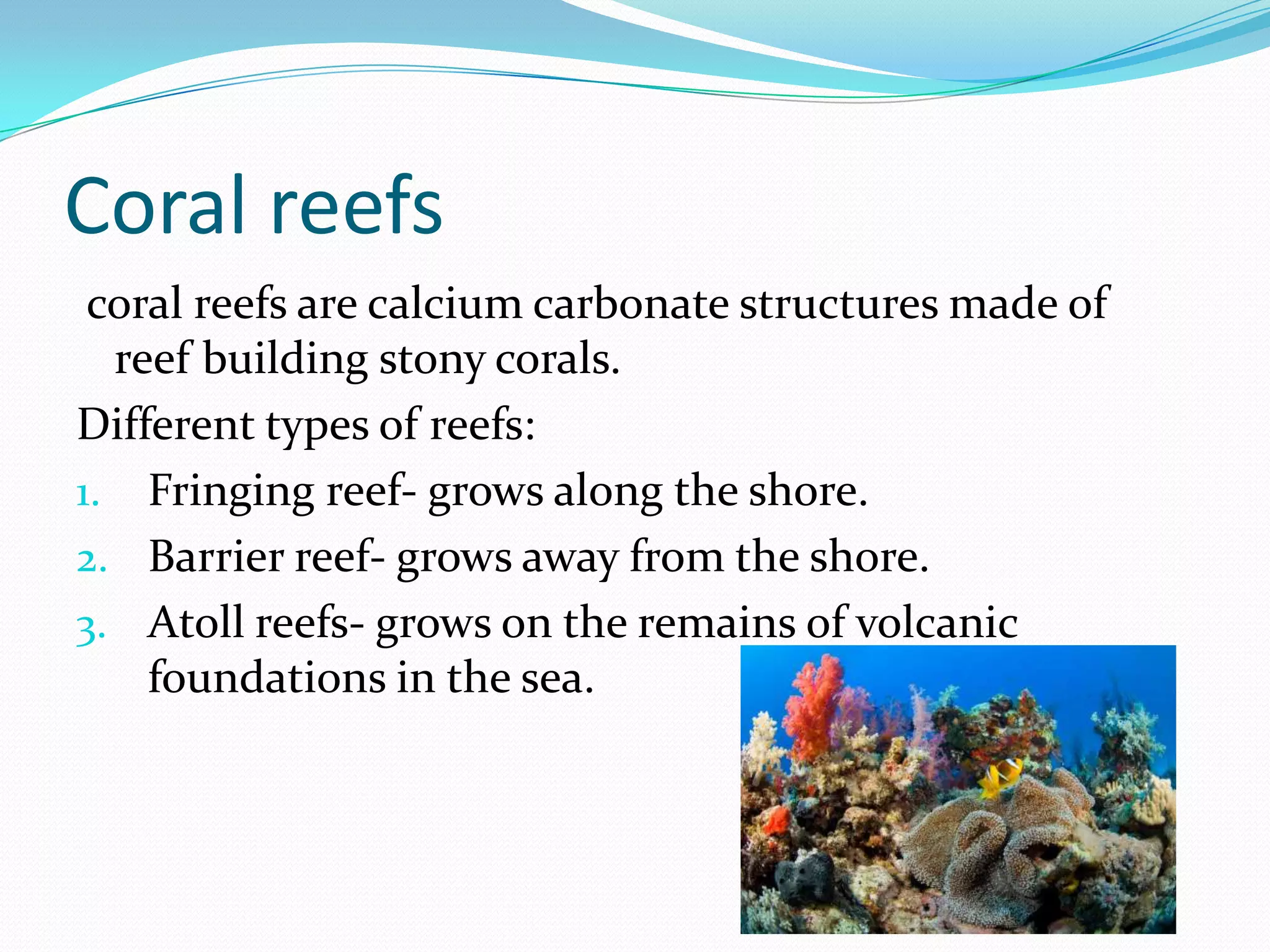 Landforms & Landscapes Processes | PPTX | Geology | Science