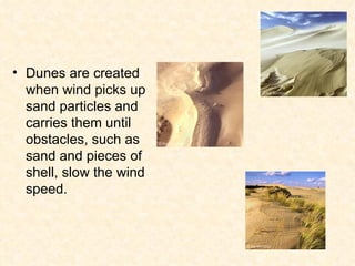 Landforms[1] | PPT