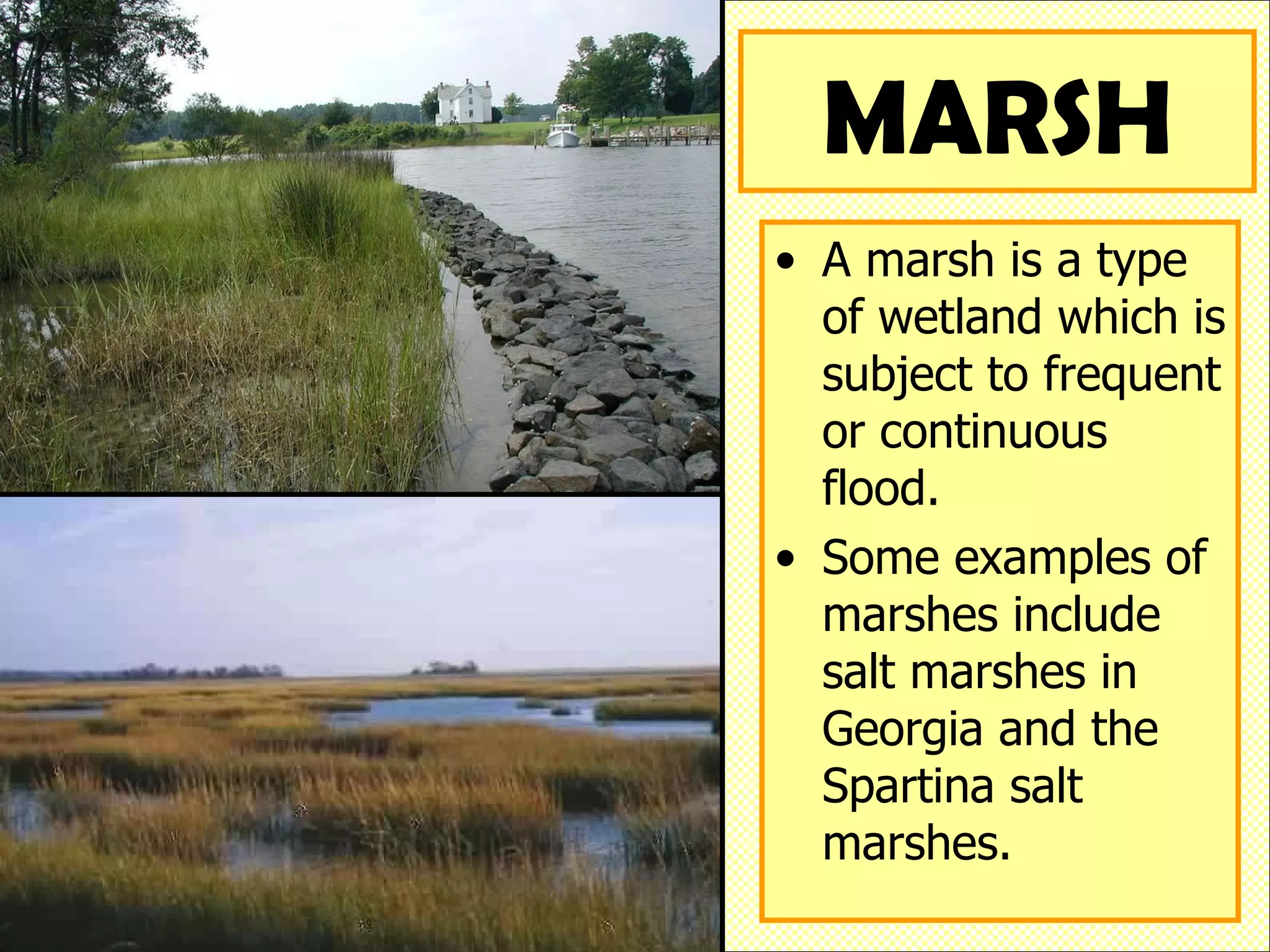 Landforms 92109 | PPT