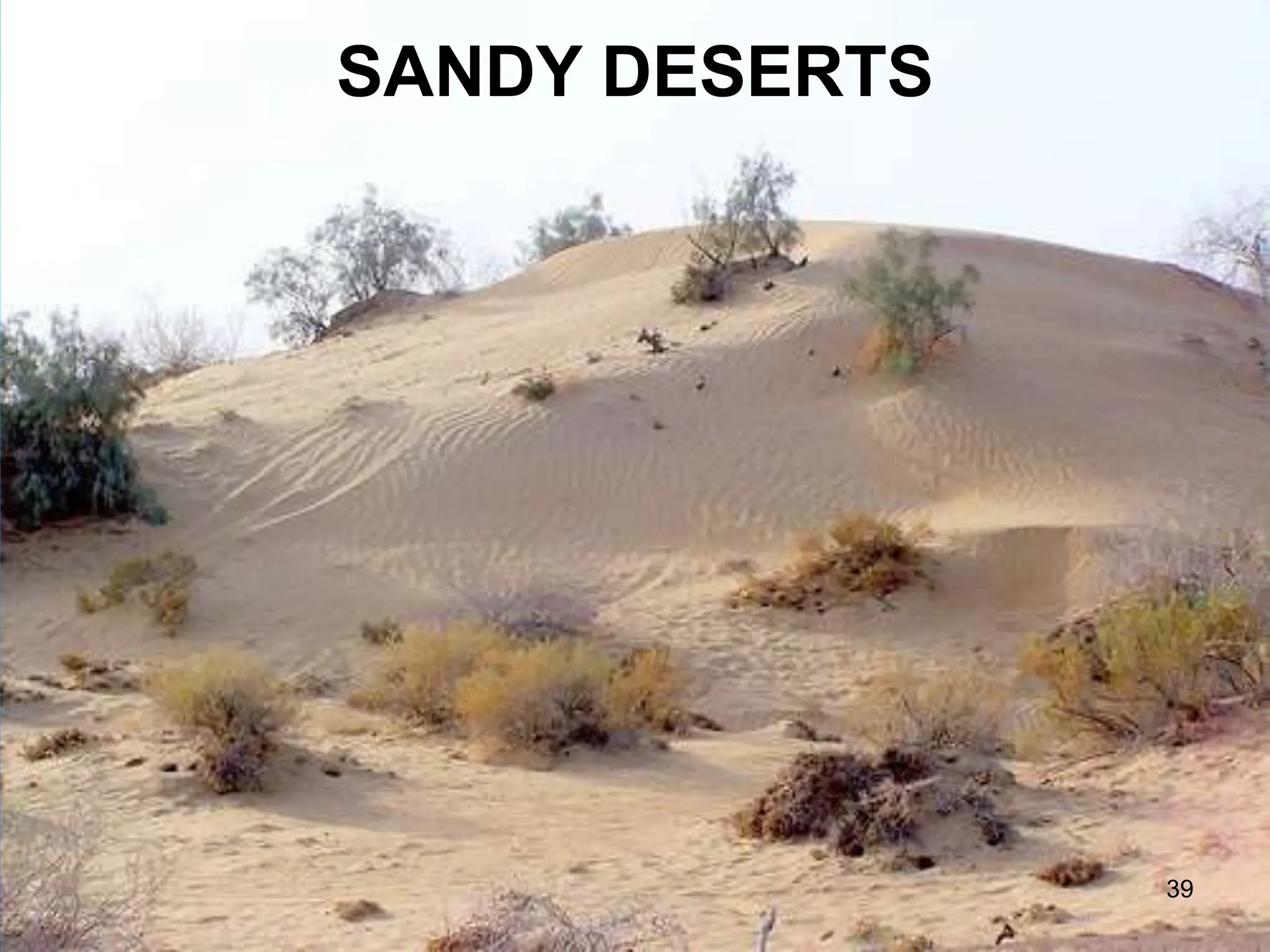 Landforms and Soils of Pakistan (Nadeem Ahmed).ppt