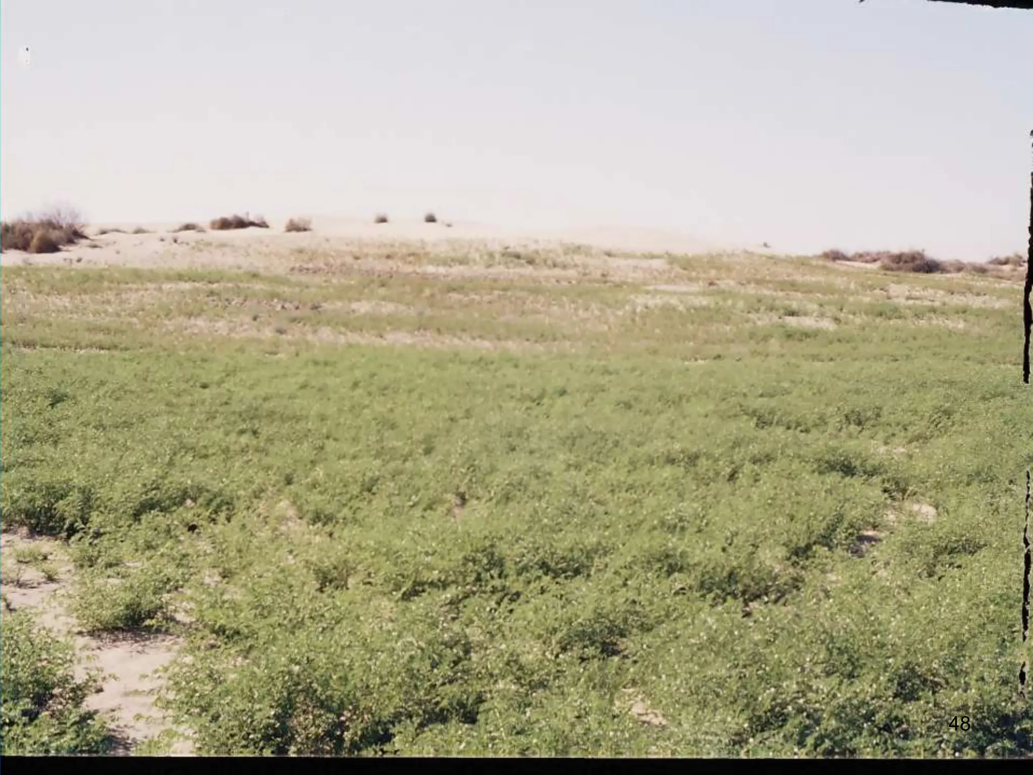 Landforms and Soils of Pakistan (Nadeem Ahmed).ppt