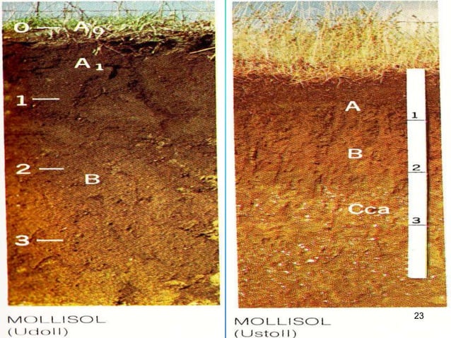Landforms and Soils of Pakistan (Nadeem Ahmed).ppt | Geography | Science