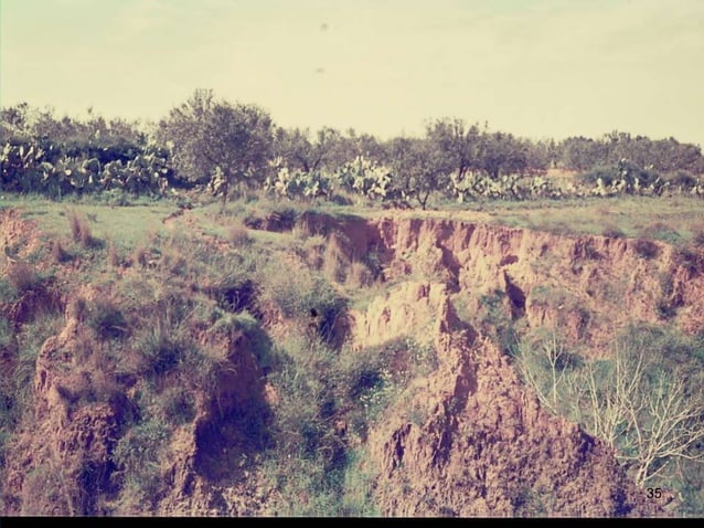 Landforms and Soils of Pakistan (Nadeem Ahmed).ppt | Geography | Science