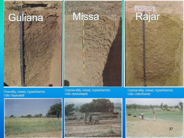 Landforms and Soils of Pakistan (Nadeem Ahmed).ppt | Geography | Science