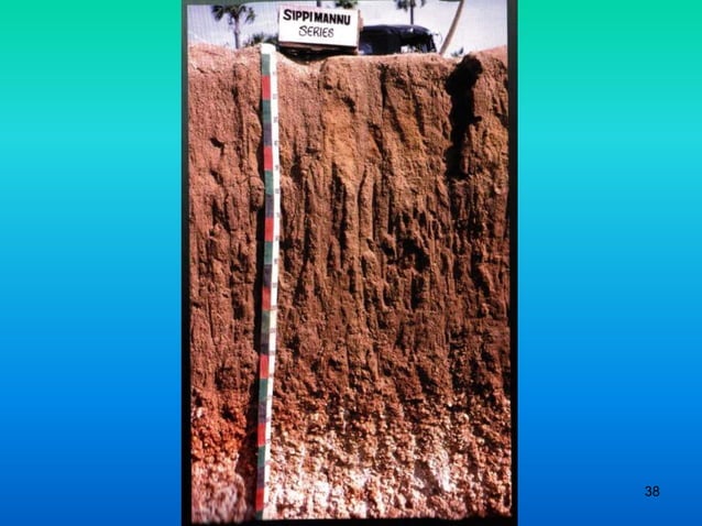 Landforms and Soils of Pakistan (Nadeem Ahmed).ppt | Geography | Science