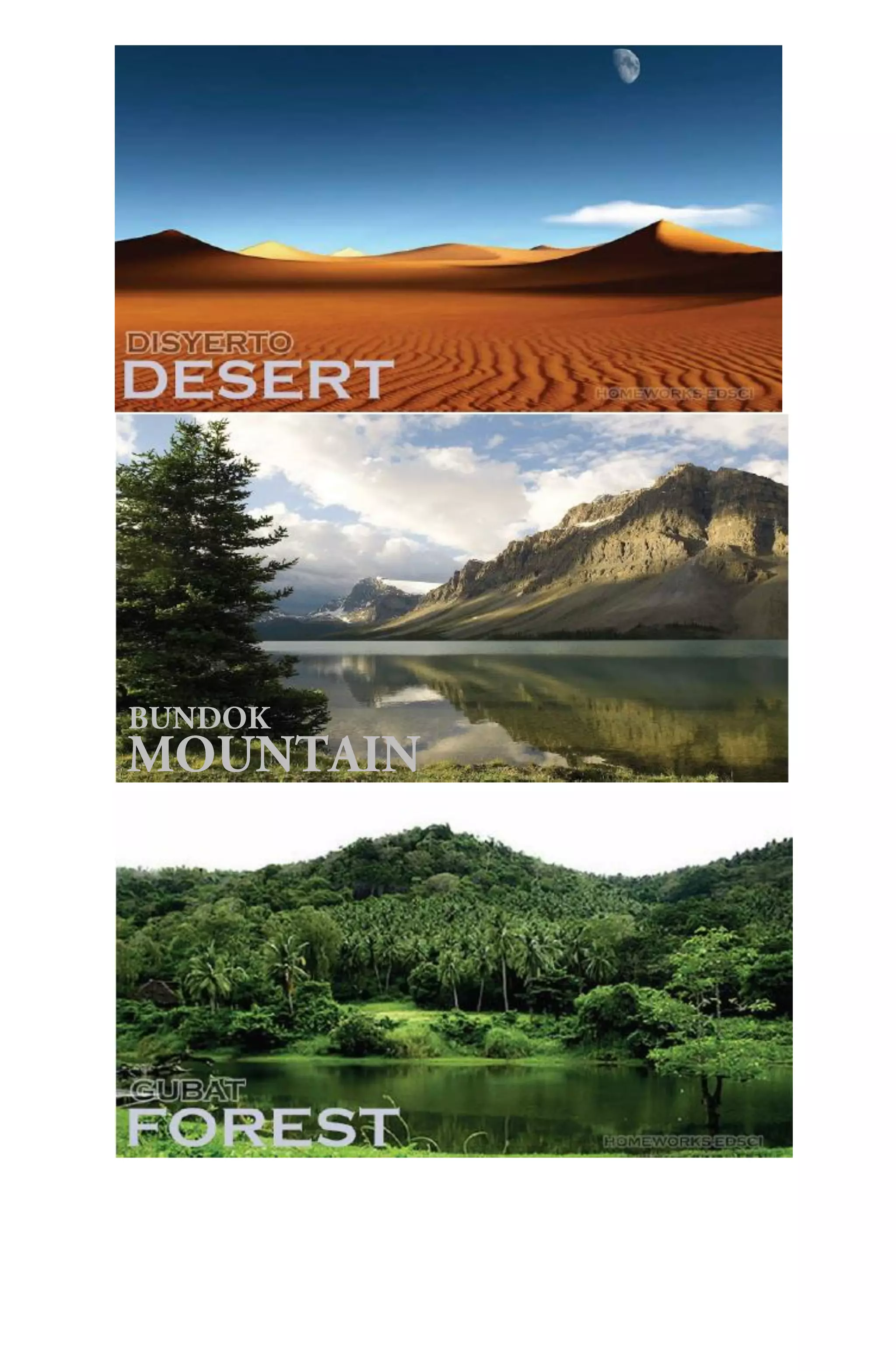 Landforms and water forms | PDF