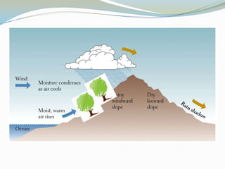 Landforms & climate | PPT