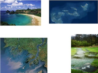 Landforms Lab: Identify the forces that created the land and water ...