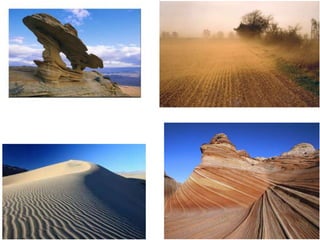 Landforms Lab: Identify the forces that created the land and water forms