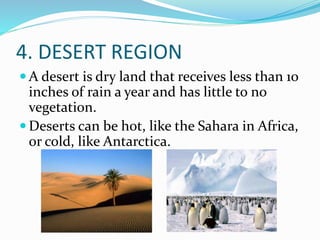 Landforms review | PPTX