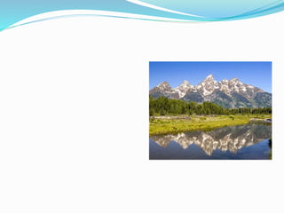 Landforms review | PPTX
