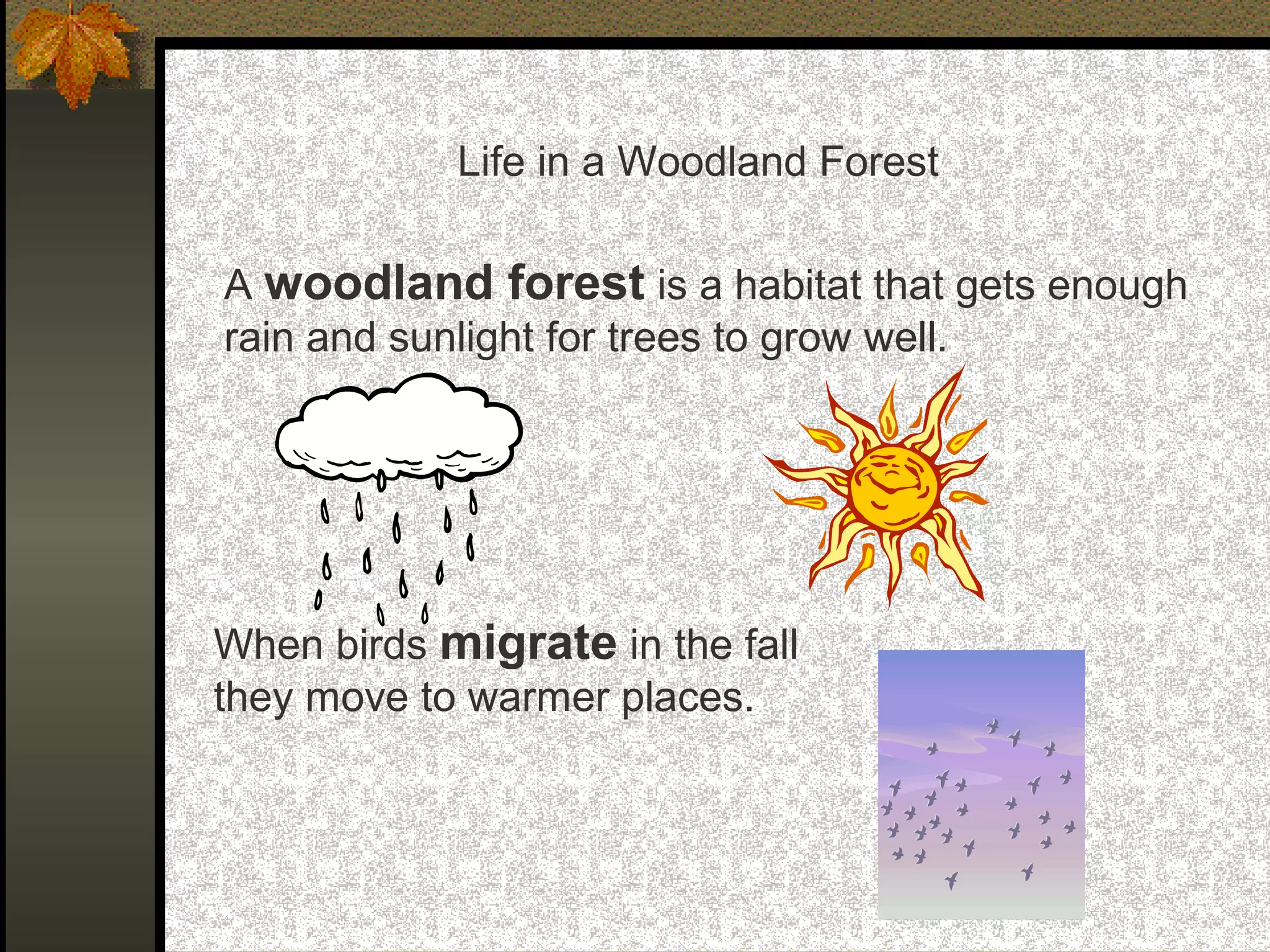 Land habitats (science) | PPT