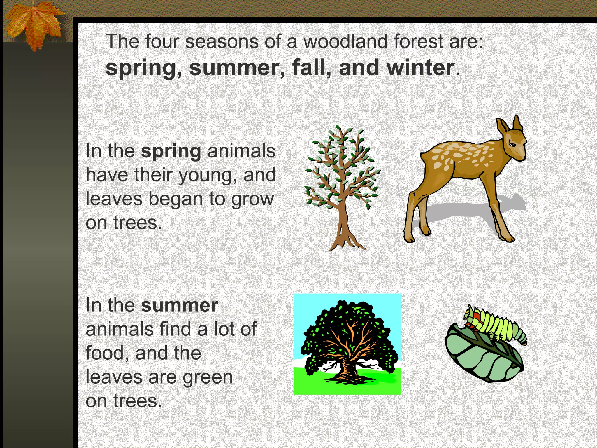Land habitats (science) | PPT