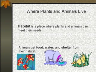 Land habitats (science) | PPT