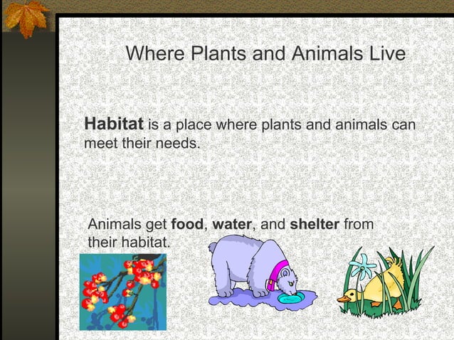 Land habitats (science) | PPT