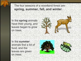 Land habitats (science) | PPT